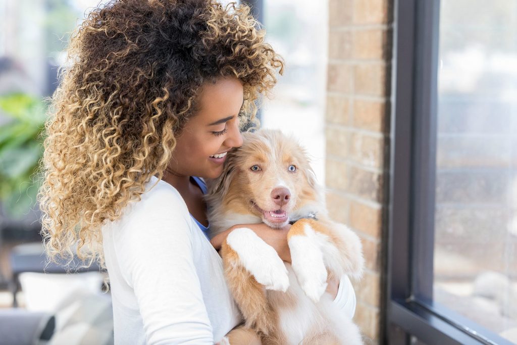 Conheça as regras para a circulação de animais em condomínio!